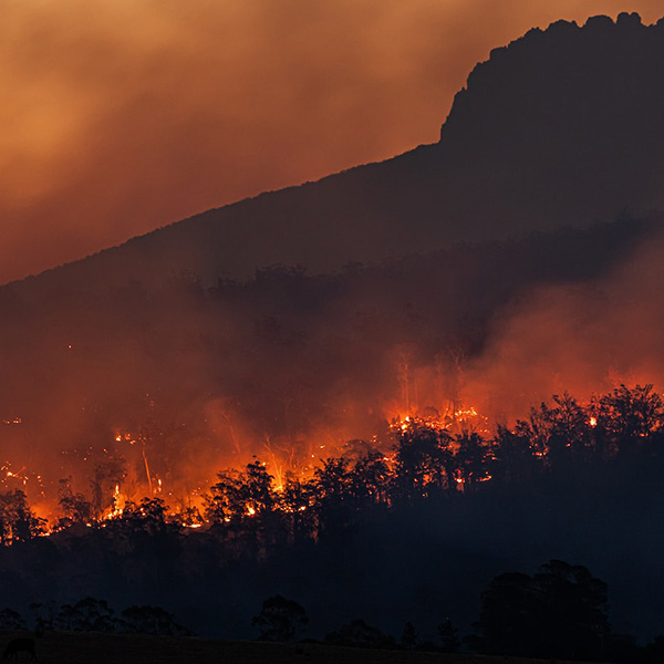 IM-READDI - All-Hazards Readiness - Respond Global